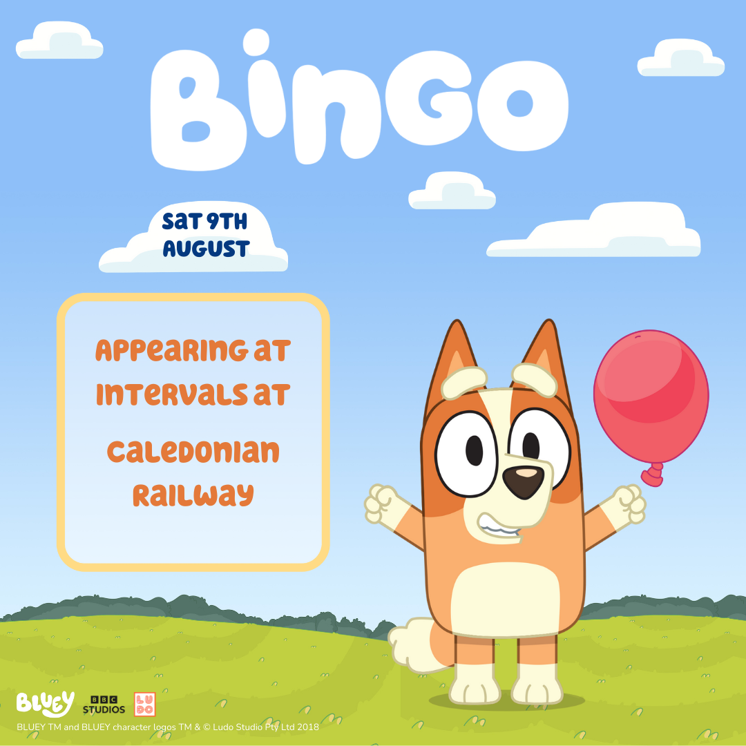 Bingo from Bluey Family Steam Train Brechin Angus Scotland