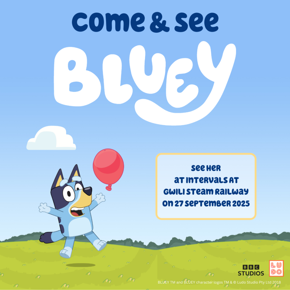 Steam Train Journey with the Opportunity to Meet Bluey Wales